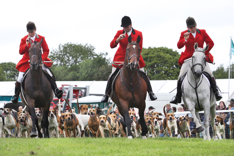 Fun for all at 108th Okehampton Show | The Exeter Daily